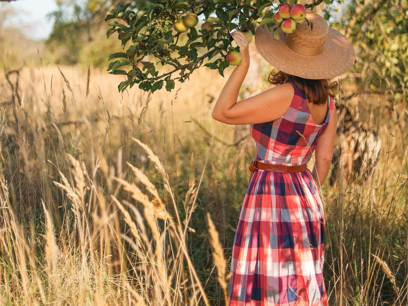 Damenbekleidung Emily and Fin - Bella Green